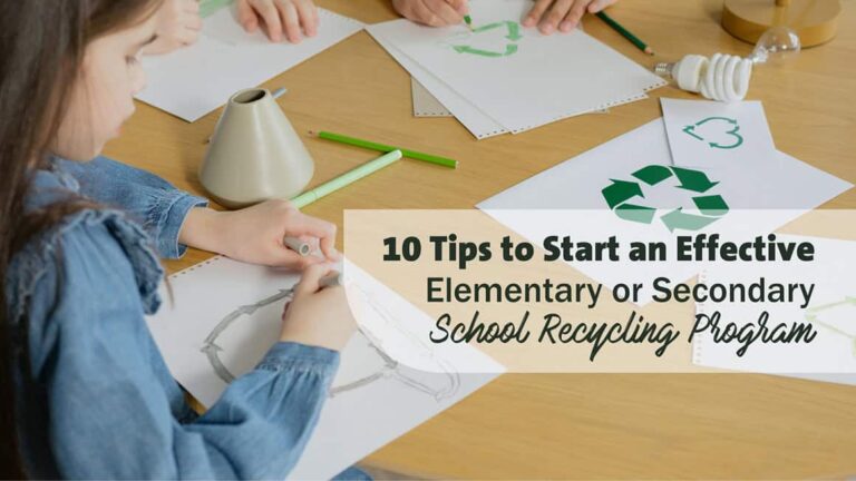 Elementary or Secondary School Recycling | Busch Systems Blog